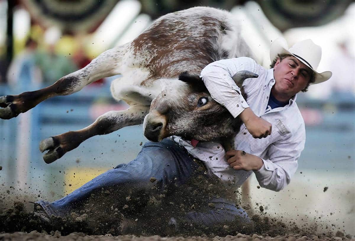Take The Bull By The Horns Scott Ross Online